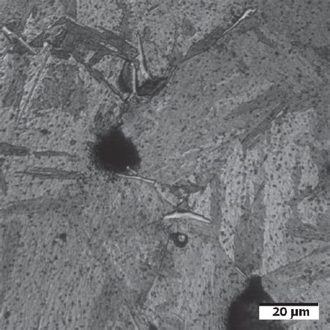 Microstructure Of Sintered 17 4 Ph Steel Modified 0 2 Wt Of Boron Download Scientific Diagram