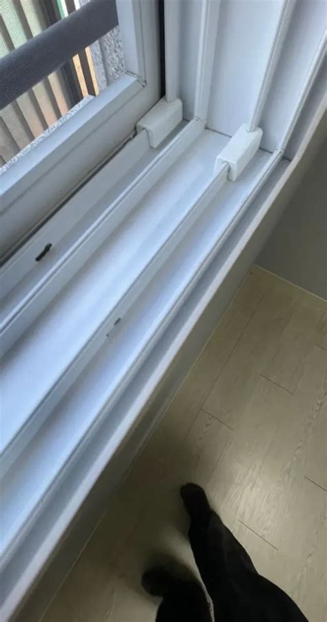 처음입주청소 해봤는데 생각보다 너무 깨끗하게 잘해주시고 설명또한 잘해주셔서 감사합니다 지인분들께 마니추천할듯 싶네요 숨고 숨은고수