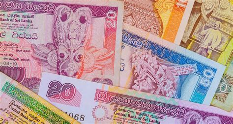 Jaka Jest Waluta W Rumunii