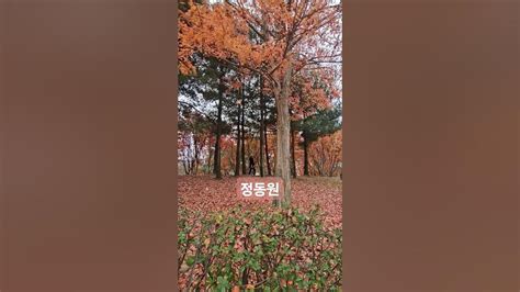 정동원신곡 고리 ♡♡트로트와 퀴즈를 들기는 채널입니다 Youtube