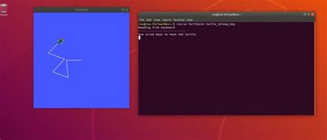 launch the turtlesim robot simulation in ros