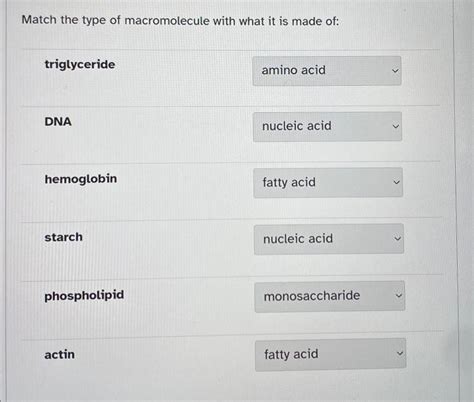 solved match the type of macromolecule with what it is made