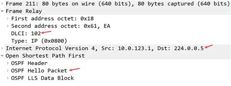 Ospf Broadcast Network Type Explained