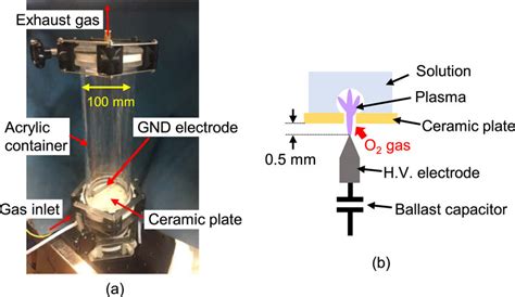 A Appearance Of The Plasma Reactor B Schematic Diagram Of The Download Scientific Diagram