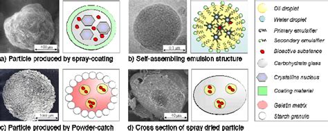Different Encapsulationdelivery Systems Used For Bioactives And Download Scientific Diagram