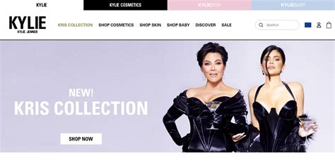 10 Shopify Store Examples To Inspire You In 2024