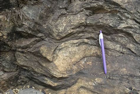 Has Any Soft Sediment Deformation Structures Been Reported From The