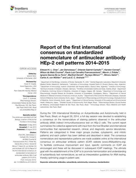 pdf report of the first international consensus on standardized