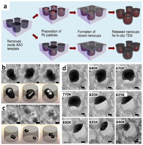 Nanomaterials Special Issue Synthesis And Characterization Of