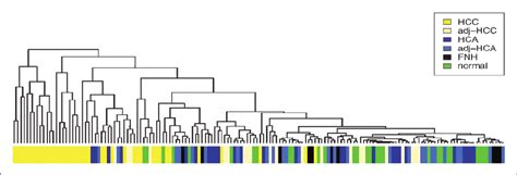 agglomerative hierarchical clustering of epithelial liver tumors