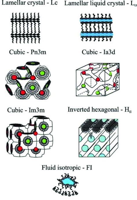 16 Schematic Representation Of Lipidic Mesophases Including The