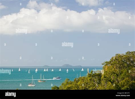 Australia Queensland Whitsunday Coast Airlie Beach Sailbots In The