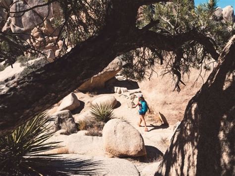 7 Best Hikes In Joshua Tree National Park Eternal Arrival