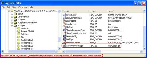 bridge software pgsuper™ faq s