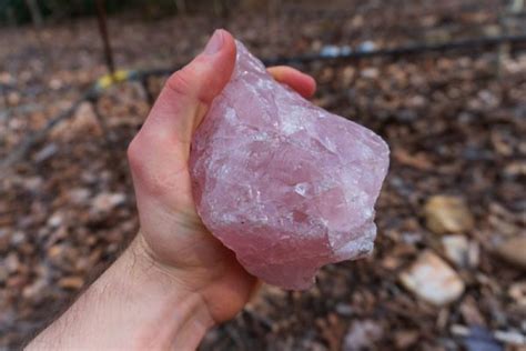 A Visual Guide To Quartz Exploring Its Many Different Varieties Rock Seeker