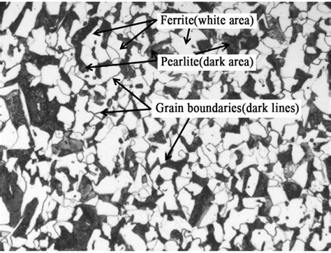 Typical Ferrite Pearlite Two Phase Microstructure Low Carbon Hot Rolled Annealed Or
