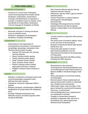 Atomic Mass And Atomic Number Worksheet Key Studocu