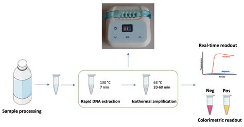 Colorimetric Point Of Care Detection Of Clostridium Tyrobutyricum