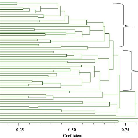 dendrogram for the 70 passiflora genotypes based on the nei li 1979