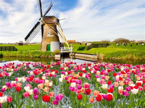 Amsterdã A Bela Capital Da Holanda Portal Diário Do Aço