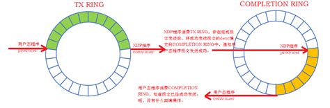 AF XDP技术详解 REXROCK