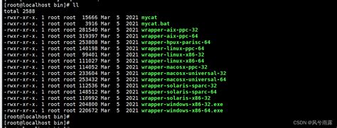linux centos 7 安装 mysql8 、java 以及 mycat2 详细流程 mycat mysql8 csdn博客
