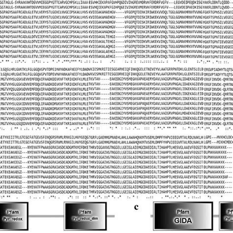 A Multiple Sequence Alignment Of Dlds From Vibrio Spp The Genbank Download Scientific