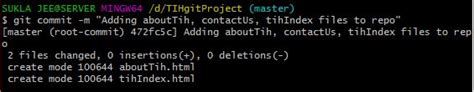 Git Commit Command