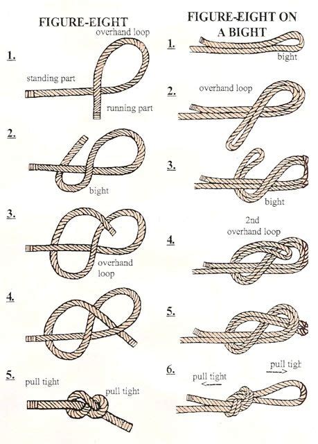 Figure Knot On A Bight Dd Figure