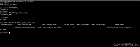 在 Postgresql 中，手动执行 Checkpoint 和 切换归档pg切换归档 Csdn博客