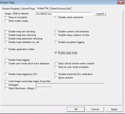 Security Gflags Full Page Heap Seems Not Effective Stack Overflow