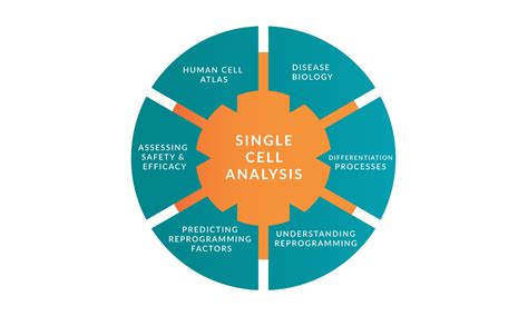 Biology The Single Cell R Evolution Mogrify