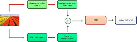Flow Diagram Of The Proposed Detector And Discriminative Representation Download Scientific