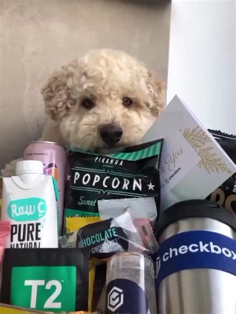 Evan Wong On Linkedin Checkboxcares