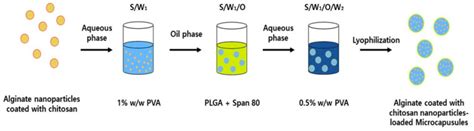 Biodegradable Nanoparticles Loaded Plga Microcapsule For The Enhanced Encapsulation Efficiency