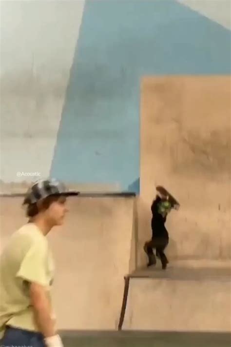 Adefolahanmi A Adedeji A³ On Linkedin Tipsforsuccess Personalgrowth A3inspiration 114