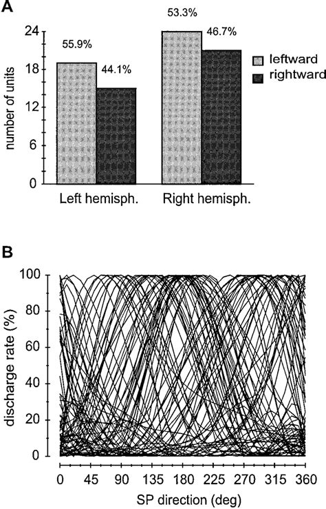 Spatial Distribution Of Preferred Directions Of Sp Tuning Curves A Download Scientific