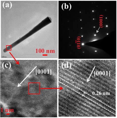A Tem B Saed Pattern And C D Hrtem Of A Single Zno Nanowire Download Scientific Diagram