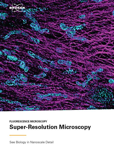 Super Resolution Microscopy