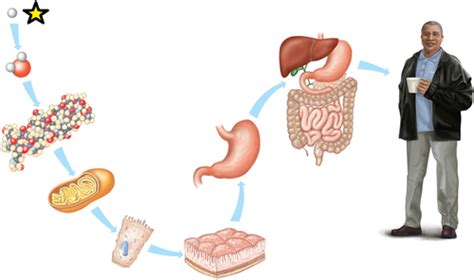 Hap Unit 1 1 Flashcards Quizlet