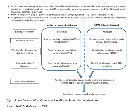 A Review Of The Principles And Applications Of Various In Silico Tools
