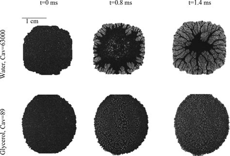 The Effect Of Viscosity On Cavitation And Fingering Regions On A Download Scientific Diagram