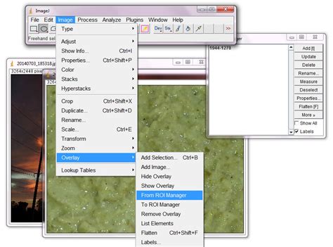 3d Roi Manager Imagej Documentation Wiki 3d Roi Manager Imagej Documentation Wiki