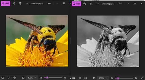 OpenCV移植到海思Hi DV 开发板 Wintoki 博客园