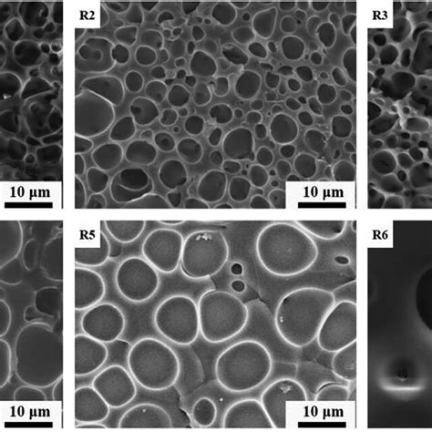 Sem Micrographs Of The Polymer Morphologies Of Films T1 T3 Download