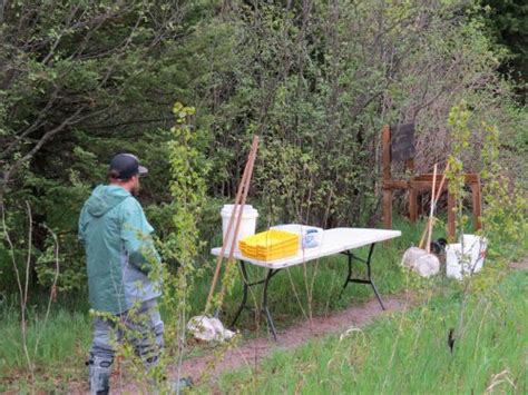 My Quality Day Macroinvertebrate Sampling