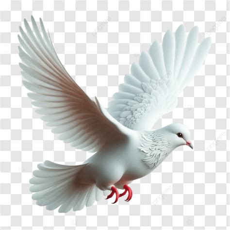 투명한 배경 위를 나는 흰 비둘기 투명한 배경 위를 나는 흰 비둘기 날아가는 흰 비둘기 평화의 비둘기 Png 일러스트 및 이미지 에 대한 무료 다운로드 Pngtree