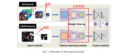 classification of hyperspectral and lidar data using coupled cnns sditch