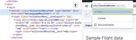 Accessibility Filter Language Popover Needs To Identify `kql` Or