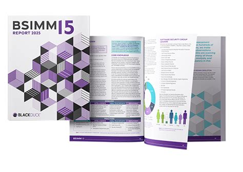 Building Security Maturity Model Bsimm Consulting Services Black Duck